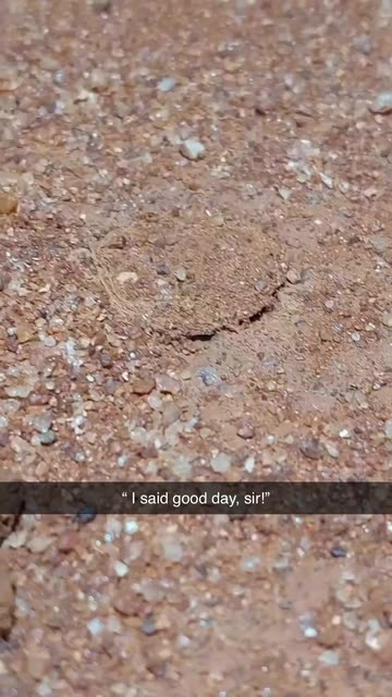 comedy | Search Snapchat Creators, Filters and Lenses