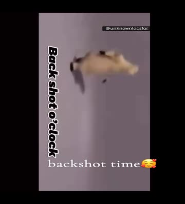 backshots | Search Snapchat Creators, Filters and Lenses