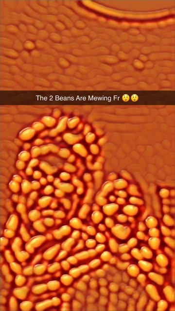 mewing | Search Snapchat Creators, Filters and Lenses