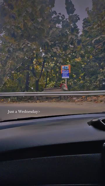 Joshi Fast Food And Restaurant