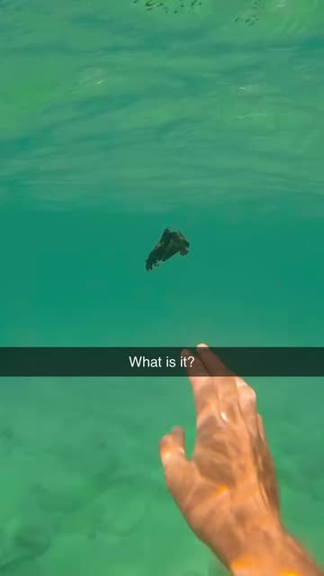 models | Search Snapchat Creators, Filters and Lenses